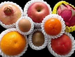 EPE foam fruit net packing machine | mesh net bag packing machine