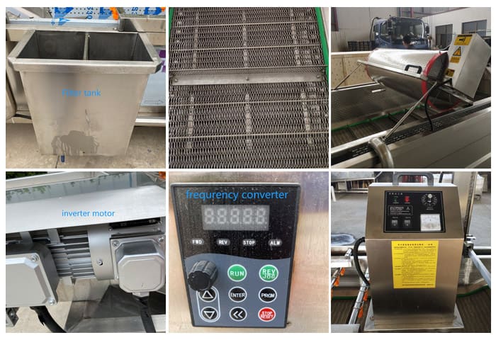 Industrial cherry tomato fruit washing machine - Taizy Machinery